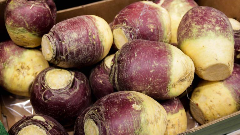 How to grow rutabaga - expert tips for bumper harvests | Homes and Gardens