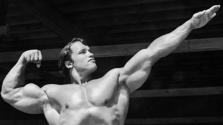 7 things I learned from Arnold Schwarzenegger's bodybuilding bible that ...