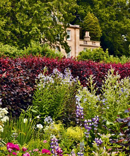 How to create an Instagram garden –Instagram garden ideas | Homes and ...