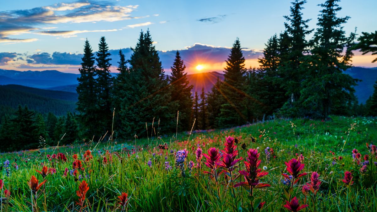 Best hikes in Vail, Colorado: when the snow melts, these ski slopes are ...