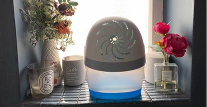 Experts reveal the best dehumidifier for a bathroom | Woman & Home