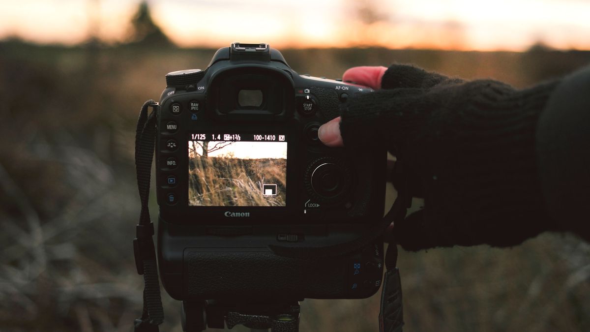 Landscapes with a difference: shoot amazing shallow scenics | Digital ...