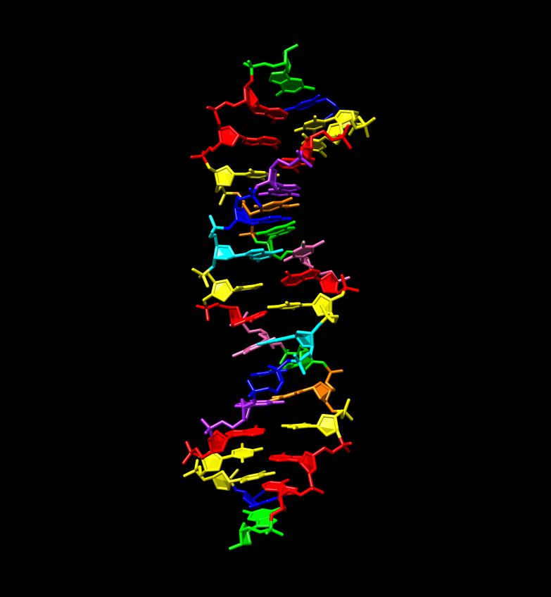 Scientists Have Created Synthetic DNA with 4 Extra Letters | Live Science