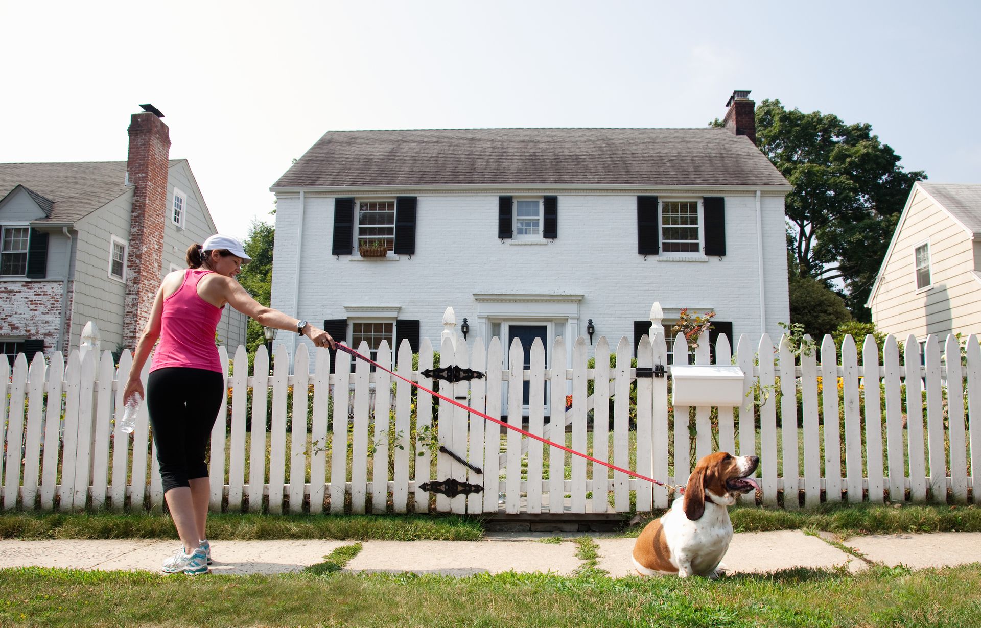 How to train a dog with a whistle to get perfect recall every time, by ...