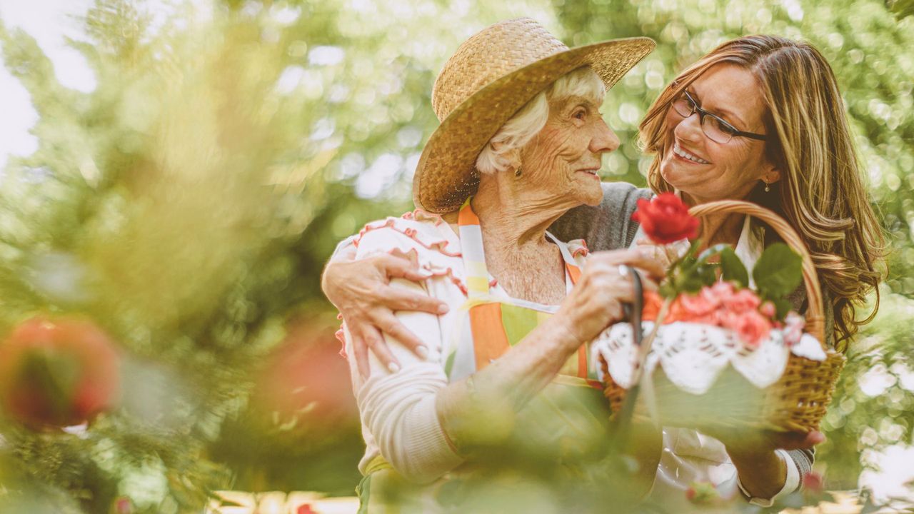 How to charm your in-laws: the ultimate guide to keeping the peace ...