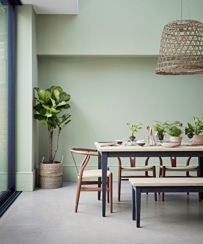 What colors go with sage green? Pairing tricks from experts | Homes and ...