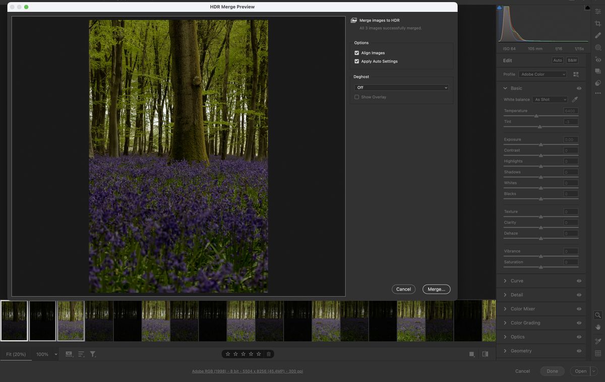 Want a wall-length panorama? Here's how to create jaw-dropping giant ...