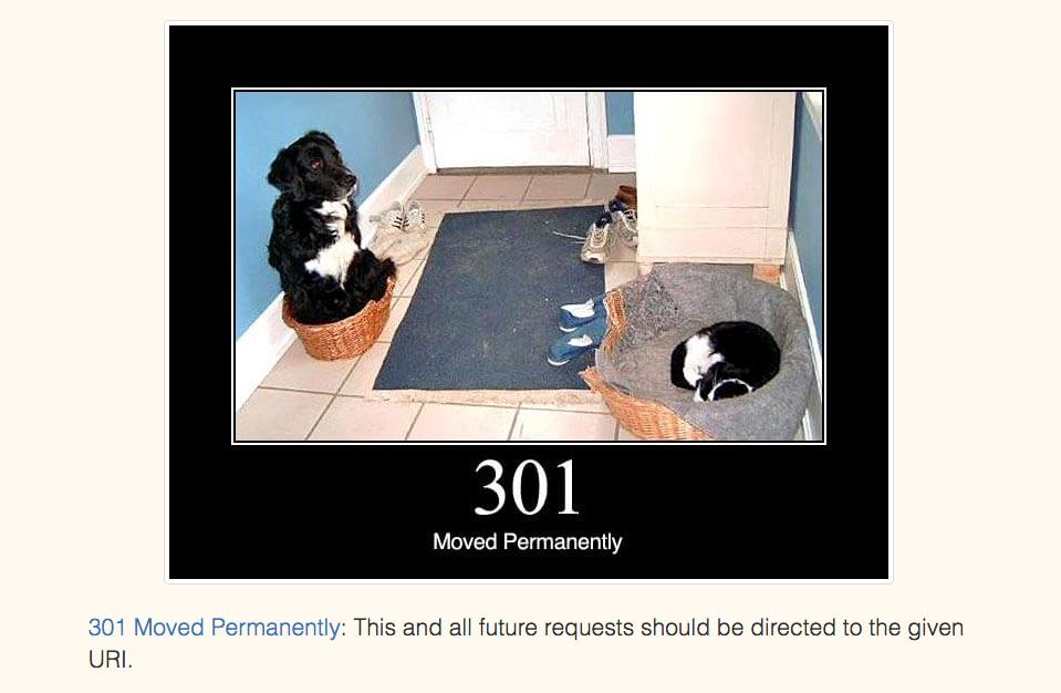 Dogs explain the mysteries of HTTP status codes | Creative Bloq