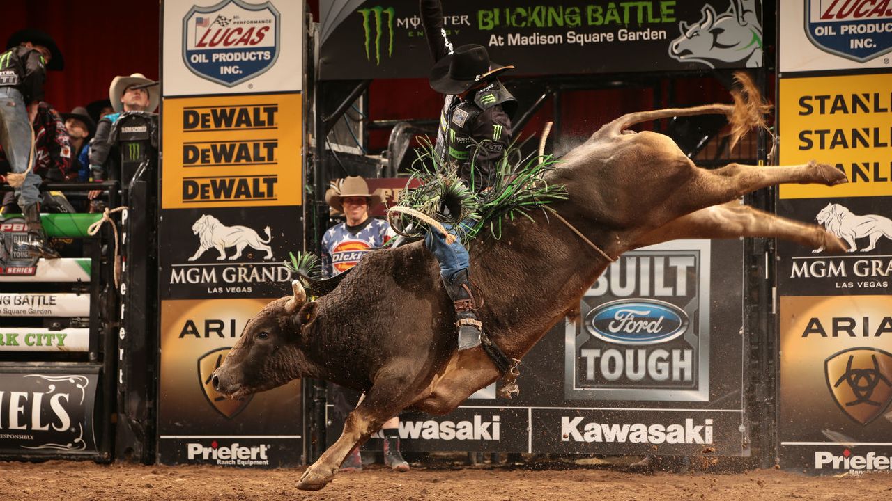 Professional Bull Riders: America’s fast-growing extreme sport | The Week