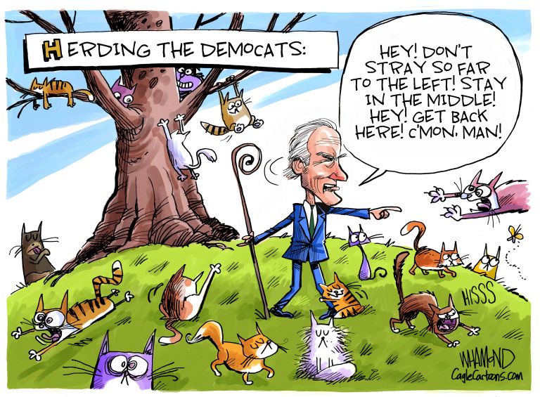 7 brutally funny cartoons about Democratic infighting | The Week