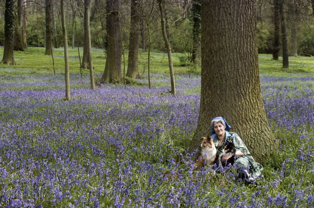 The Legacy: Miriam Rothschild, the pioneer of organic and wildflower ...