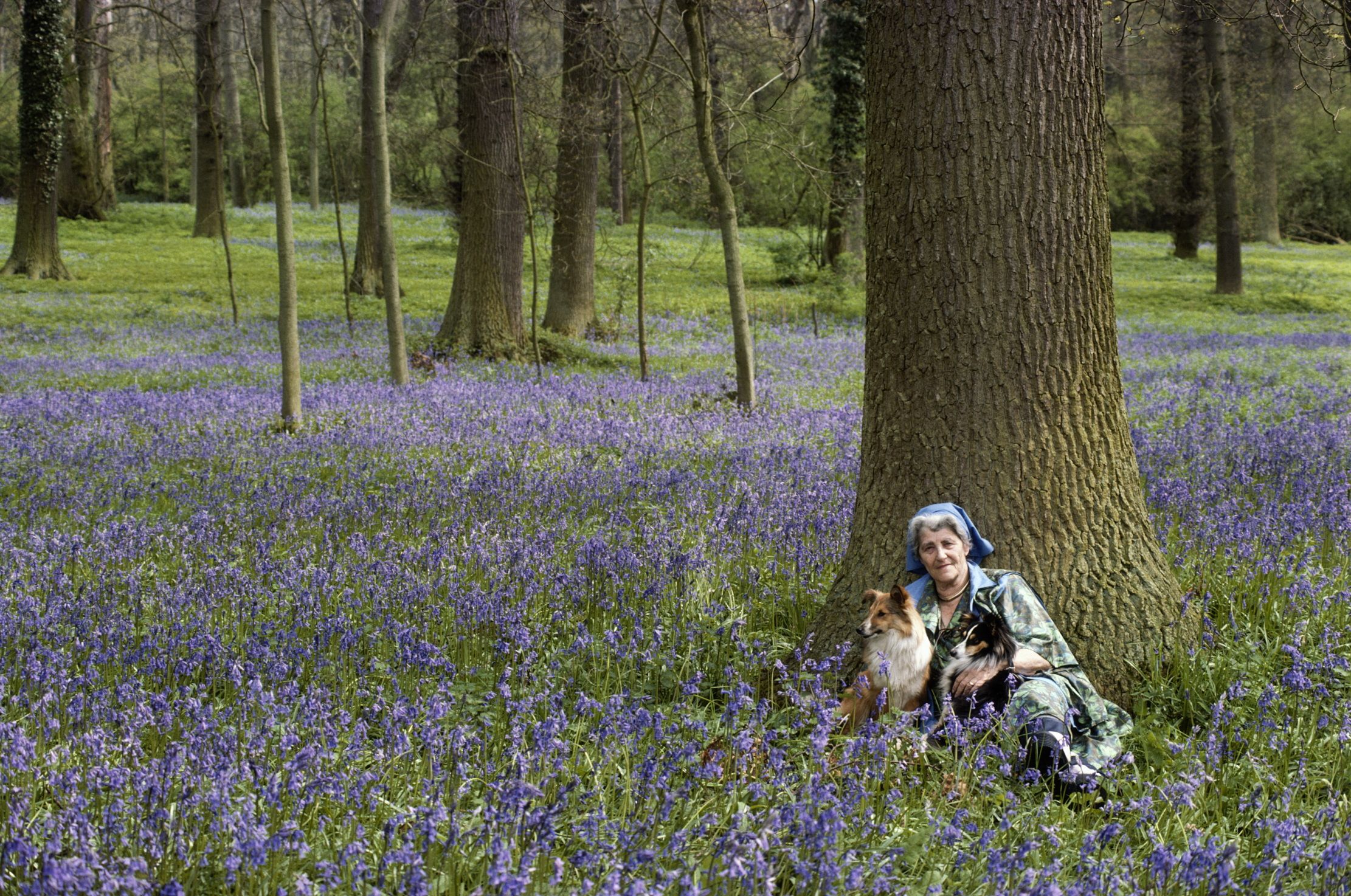 The Legacy: Miriam Rothschild, the pioneer of organic and wildflower ...