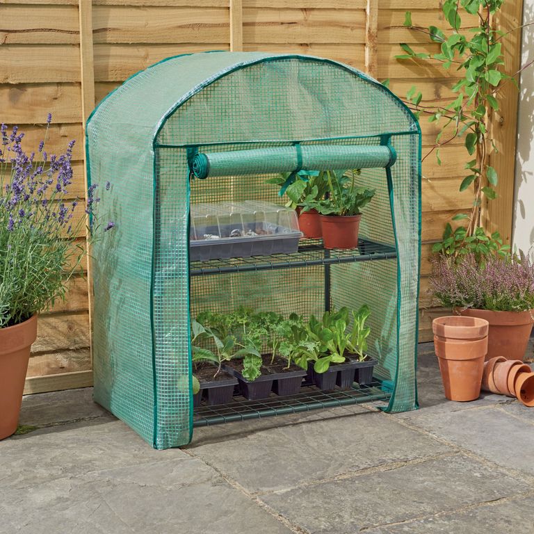 Best mini greenhouse: find the perfect design for your small space ...