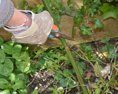 April gardening jobs: our top 10 tasks to do this month | Gardeningetc