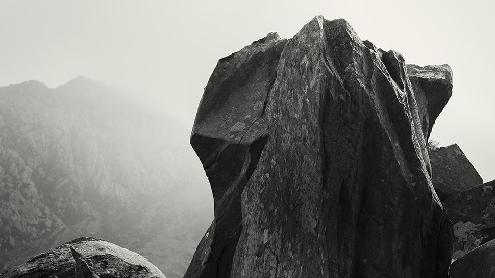 “Its presence was so intense that I was compelled to grab my camera and ...