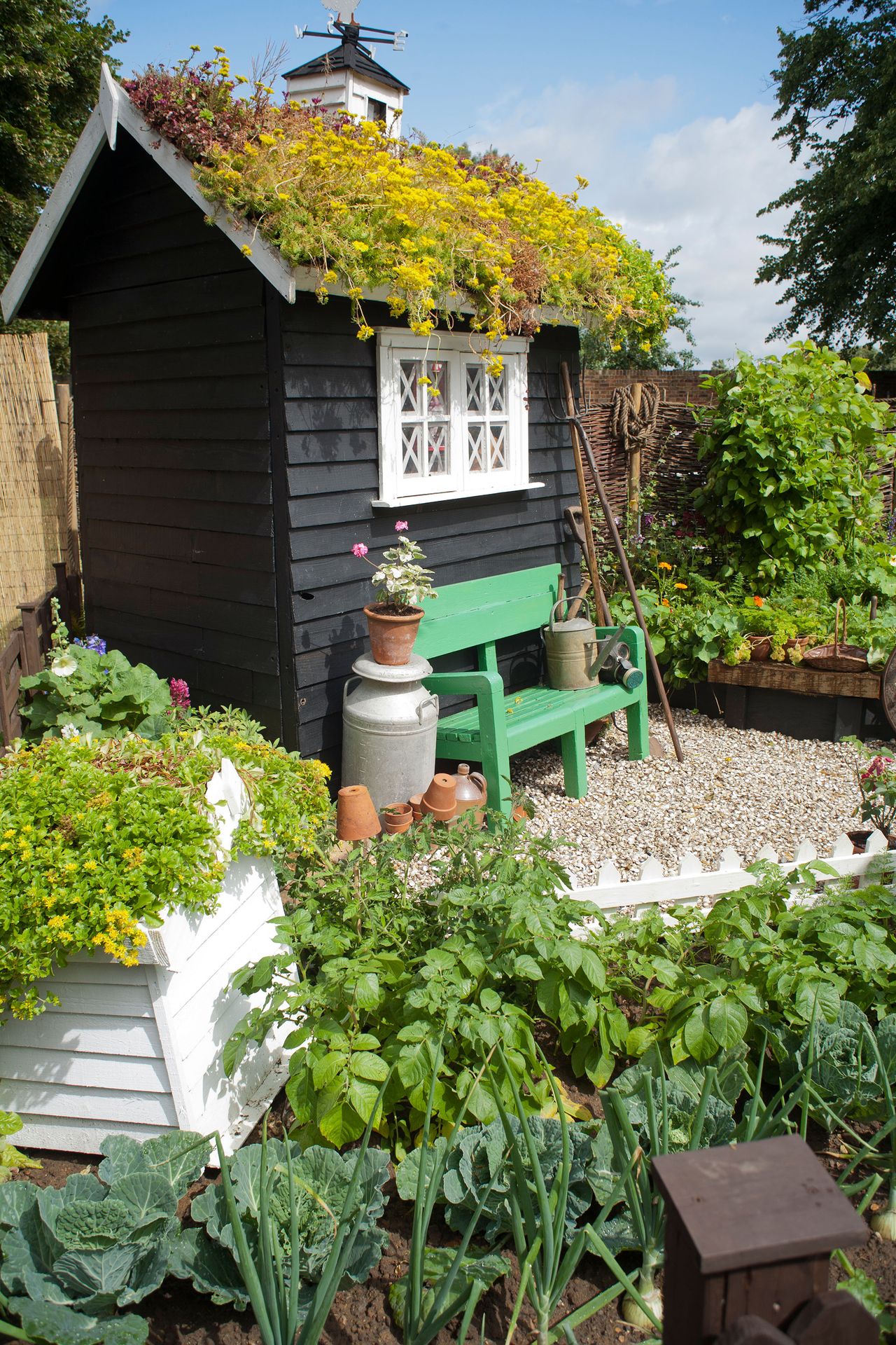 Green roofs: an expert guide to growing a living roof | Homes and Gardens