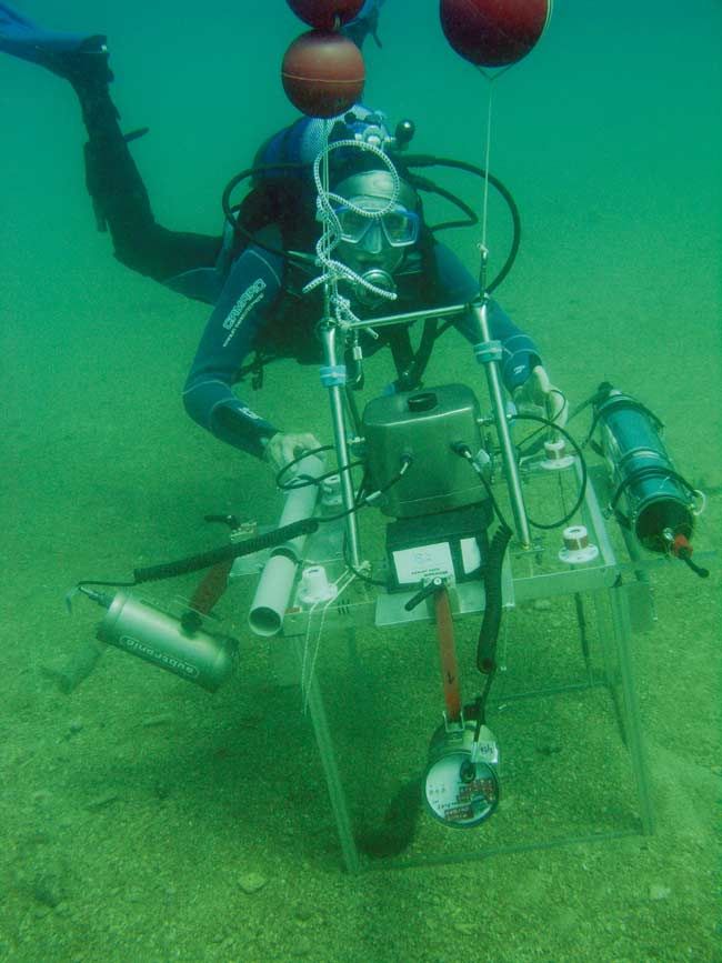 Artificial Ocean Dead Zones Help Predict Real Thing | Live Science