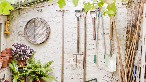 Articles by Holly Crossley, Contributing Editor | Homes & Gardens