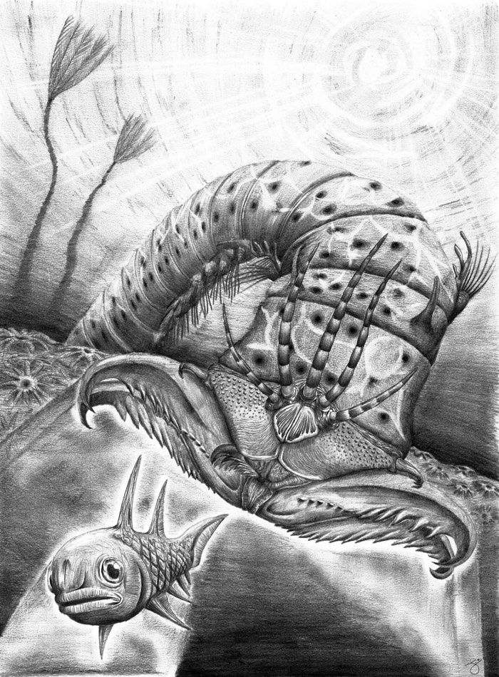 Cannibal Corpse Worm: 3-Foot-Long Creature Had Monster Jaws | Live Science