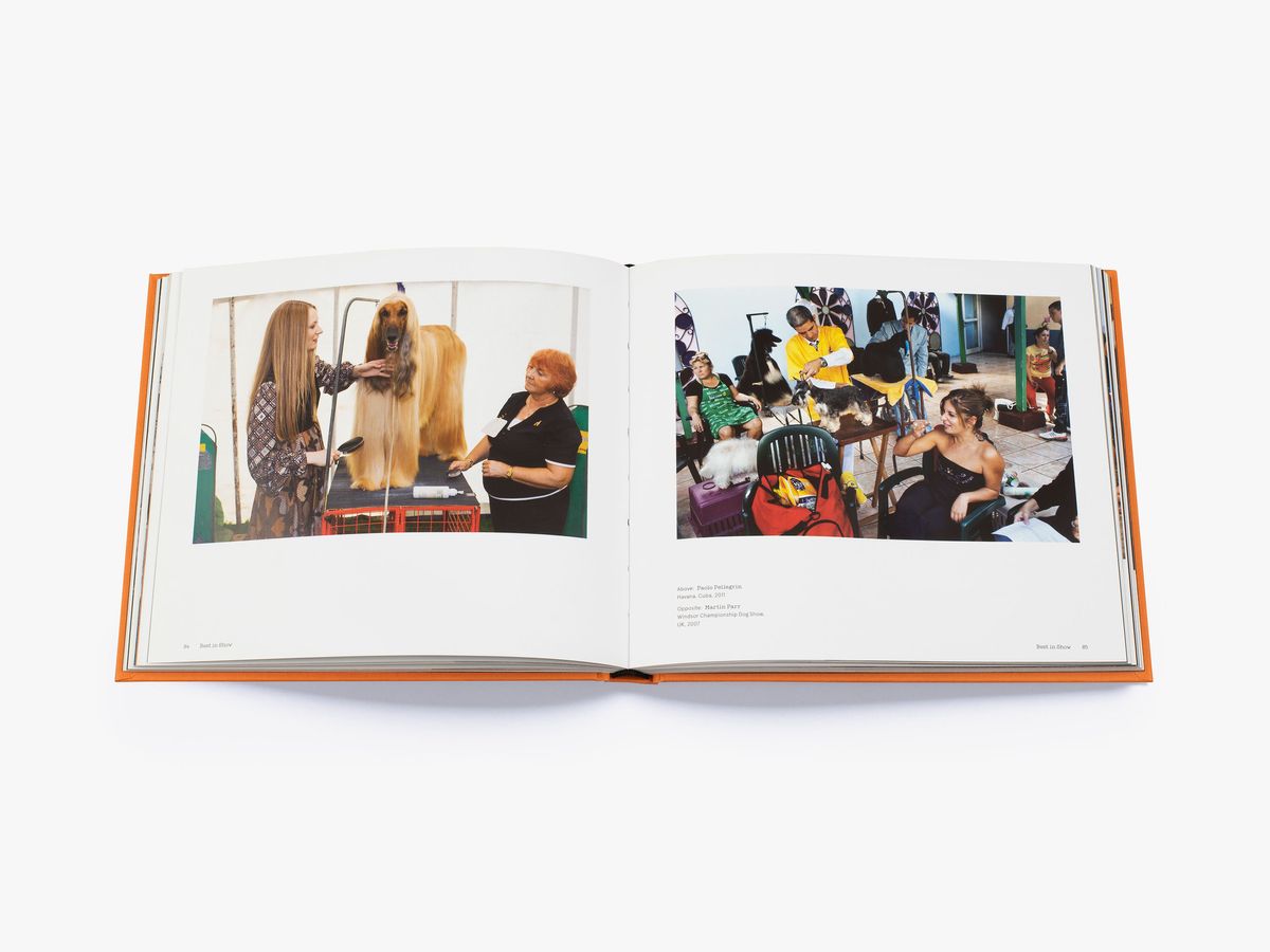 Paws for thought with a copy of the new Magnum Dogs book | Digital ...