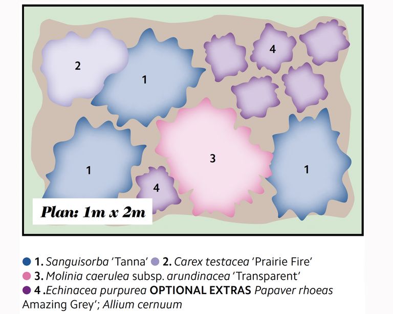 Garden border planting ideas: 6 stunning layouts to try | Gardeningetc