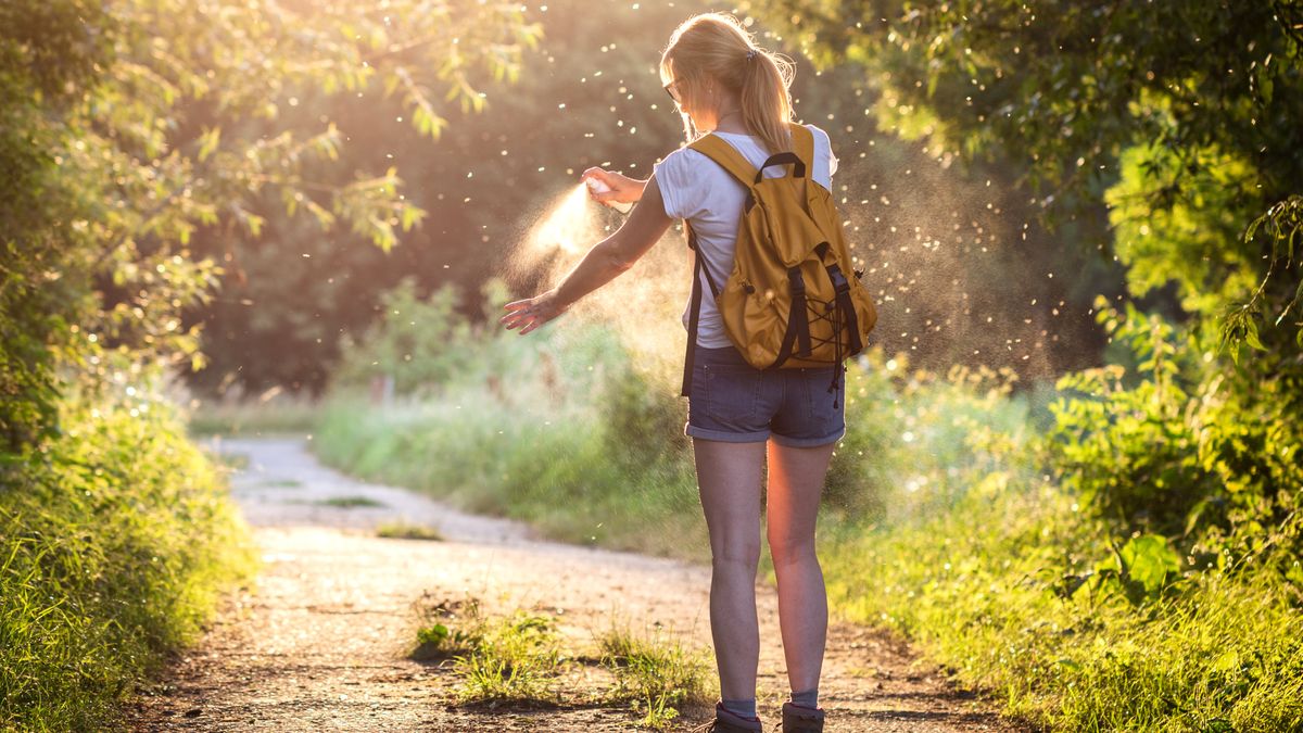 Insect repellent tips for hiking and running | Advnture