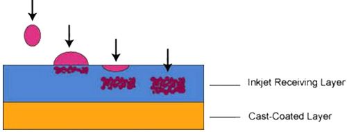 Deciphering Photo Paper - Picking The Best Ink And Paper For Your ...