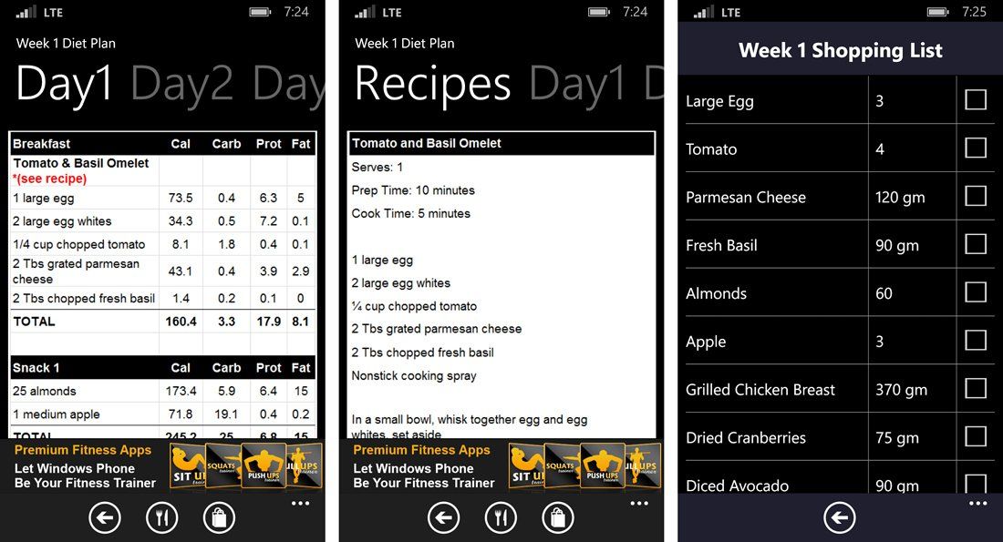 Fat to Fit Diet Plan Pro, a twelve week diet plan that curbs the ...
