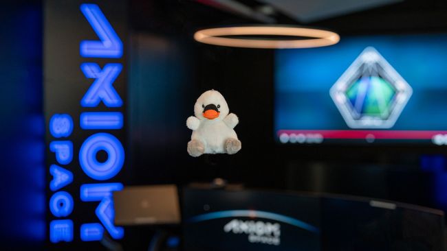 'Joy,' a plush baby swan, will launch with Axiom Mission-4 crew as zero ...