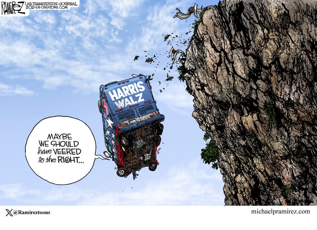 5 decidedly droll cartoons about the Democratic doom | The Week