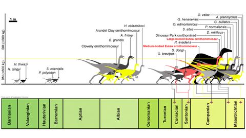 Giant, ostrich-like dinosaur and its smaller cousin roamed Mississippi ...