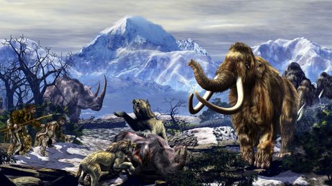 6 extinct species that scientists could bring back to life — and 1 they ...