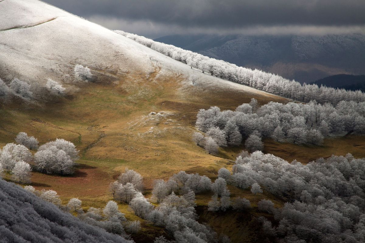Stunning aerial image wins The Nature Conservancy 2022 Photo Contest ...