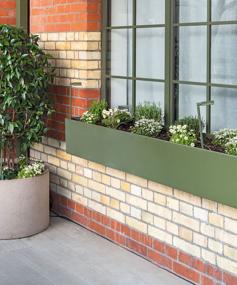 Fall window box ideas: 10 stylish looks for autumn | Gardeningetc