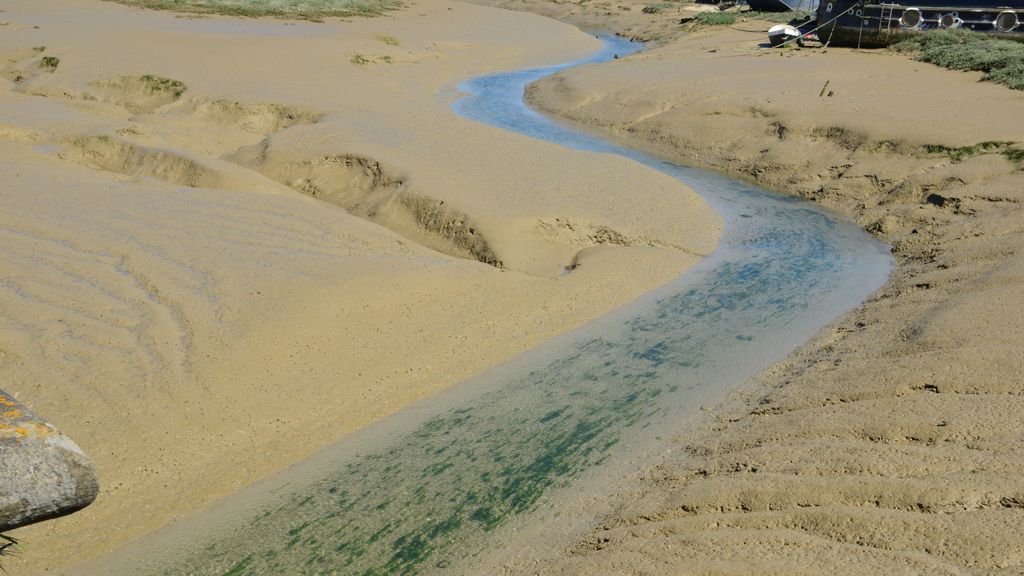 How to escape quicksand | Advnture