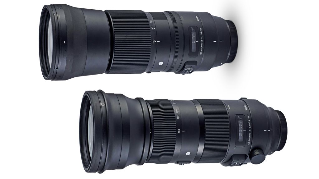 Sigma 150-600 Contemporary vs Sports: let us explain the differences ...