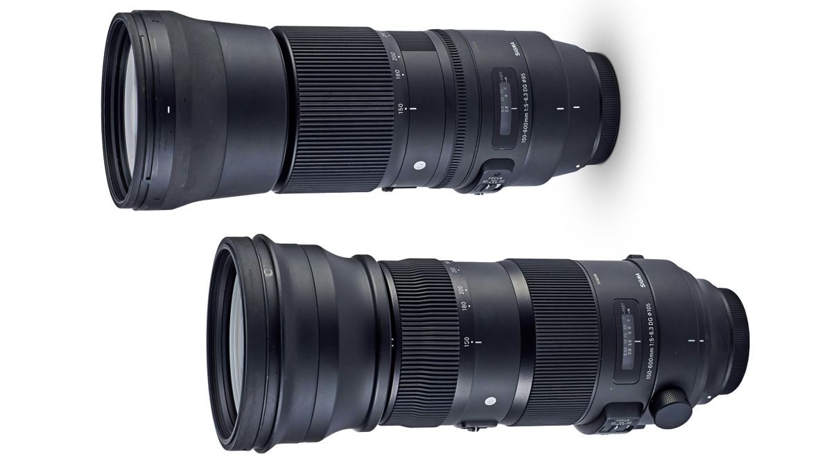 Sigma 150-600 Contemporary vs Sports: let us explain the differences ...