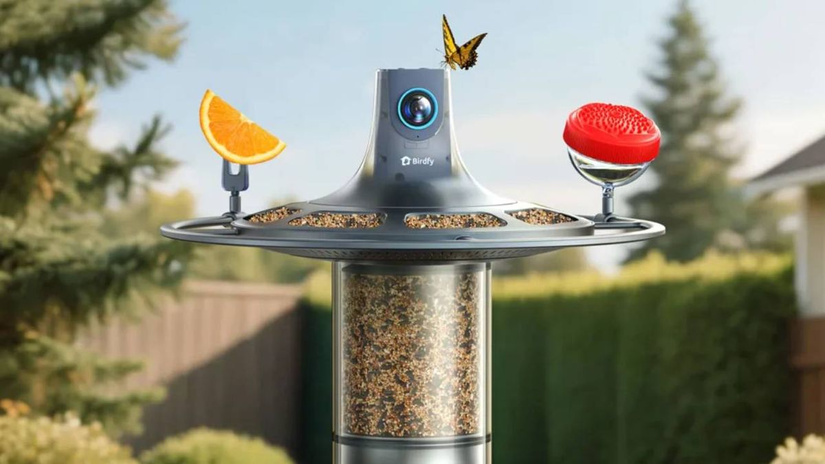 Birdfy unveils ‘world first’ smart bird feeder camera with 360-degree ...