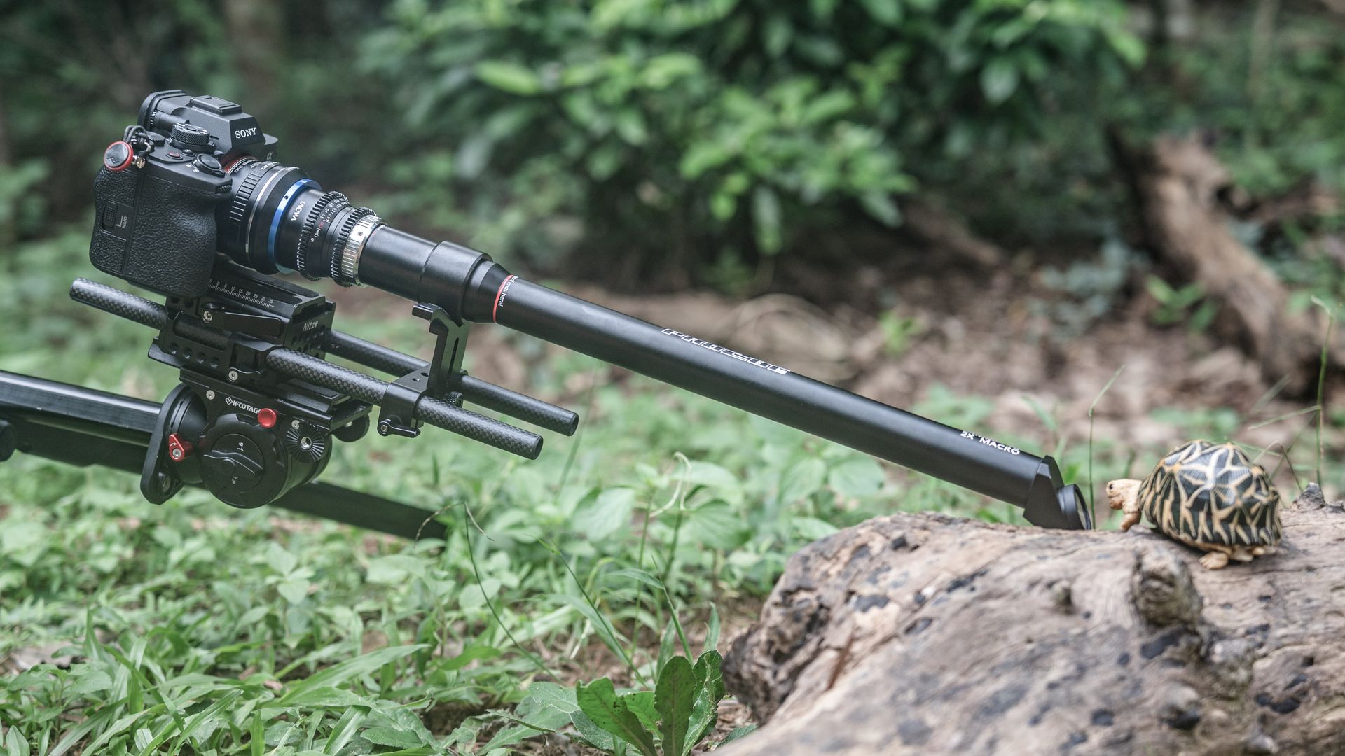 Laowa probes even deeper with 24mm T8 2X Macro Pro2be, and it's a CINE ...