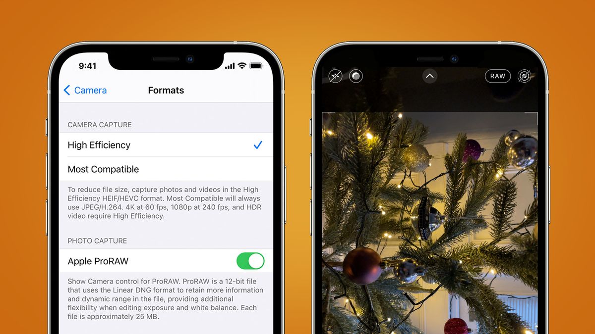 Apple ProRaw: how to master the iPhone 12 Pro's new photo format ...