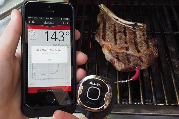 IGrill mini Review - Tom's Guide | Tom's Guide