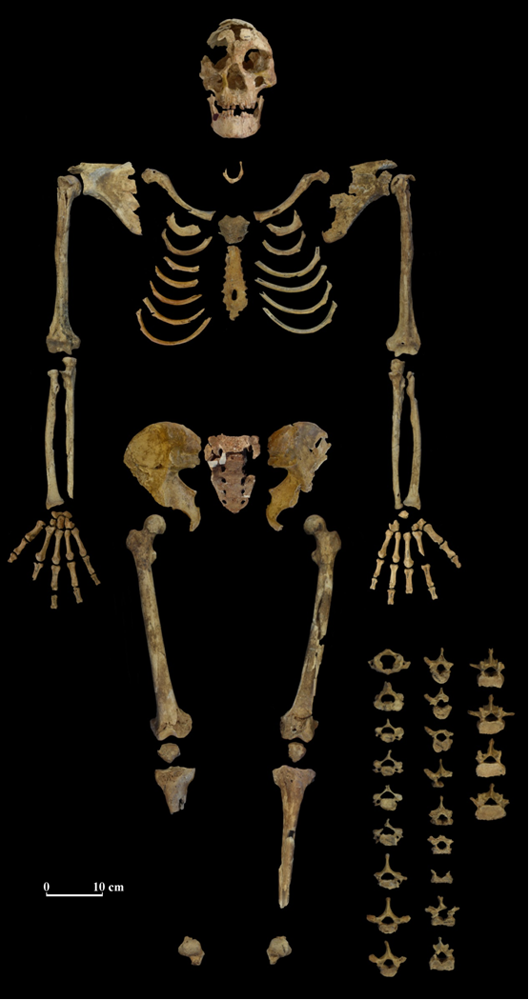 Reclaimed History: 9 Repatriated Egyptian Antiquities | Live Science