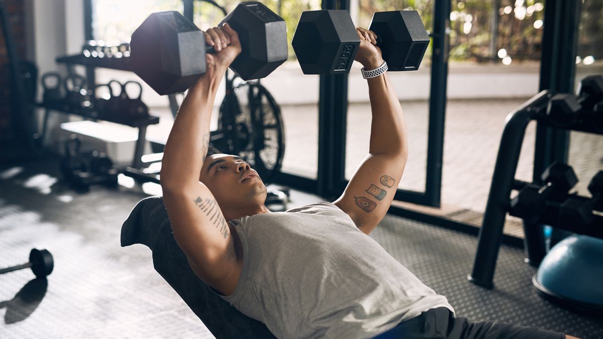 What is the best dumbbell chest workout for building strength? | Live ...