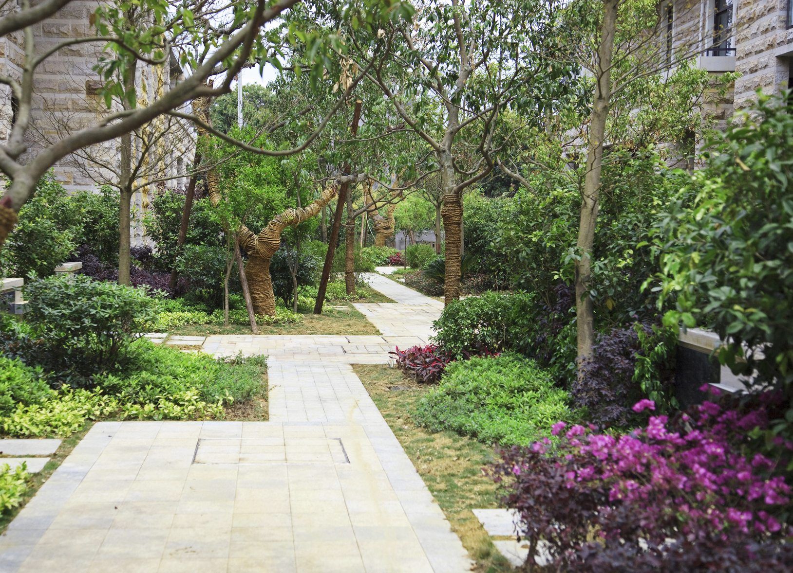 How Far From Sidewalk To Plant A Tree - Guide To Planting Trees Near ...