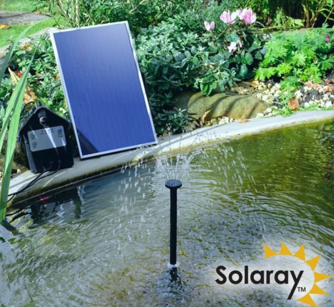 This £10 solar fountain helped me create an easy DIY water feature ...