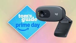 The Logitech MX Brio 4K webcam is so good, it improves my pasty face ...