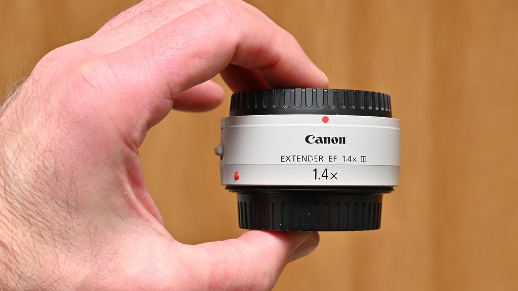 Canon Extender EF 1.4x III review: extend your telephoto reach, not ...