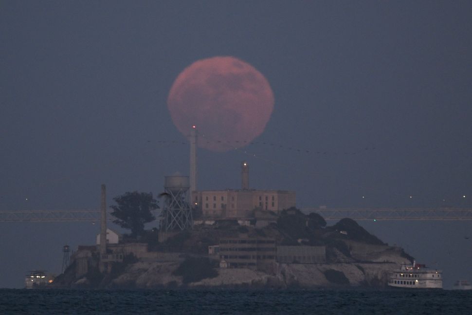 Strawberry Moon of June 2023 sweetens the night sky in amazing photos ...