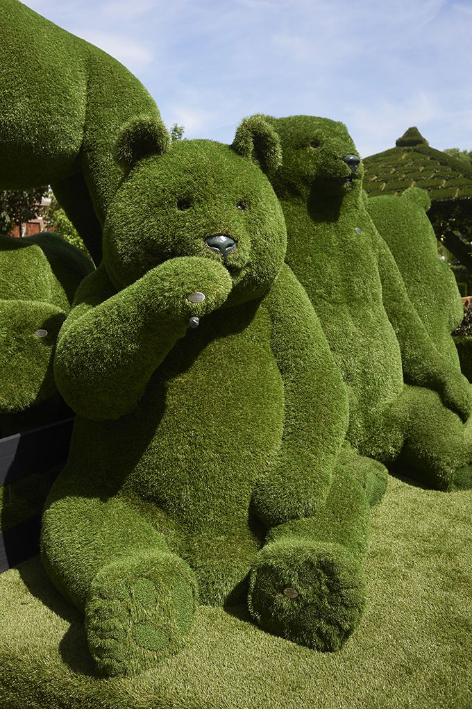 Topiary: The ancient art of transforming nature into cubes, pyramids ...