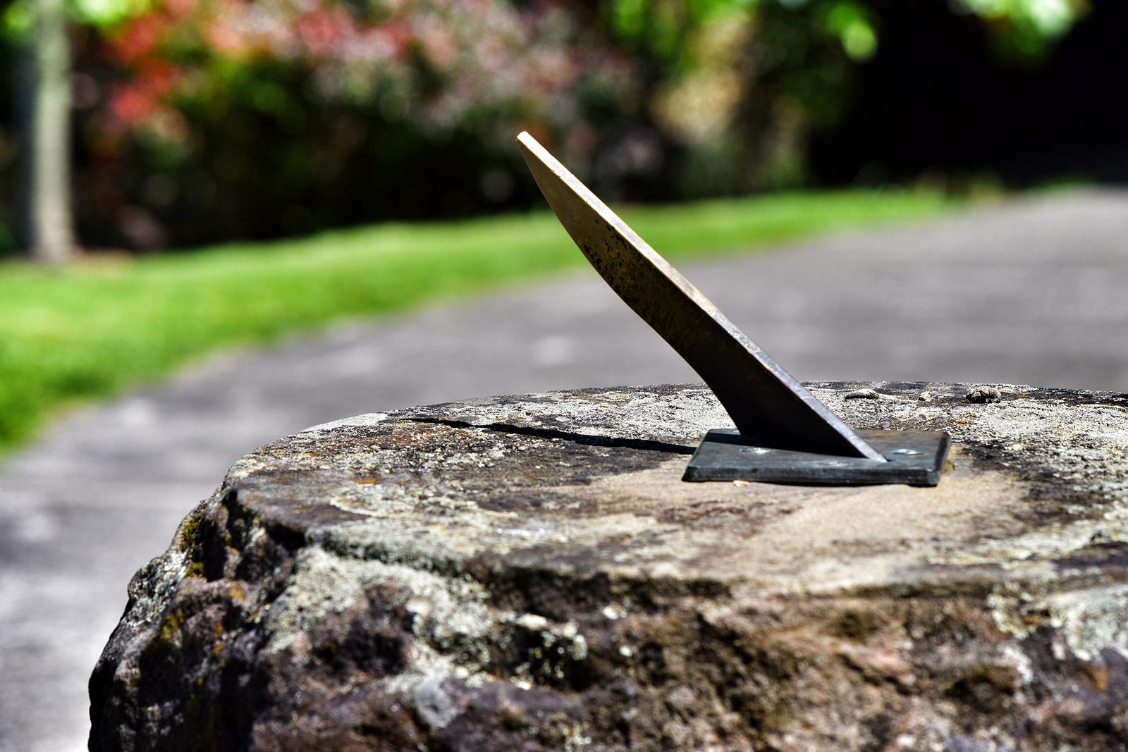 Tree stump ideas: 10 creative designs for your yard | Homes and Gardens